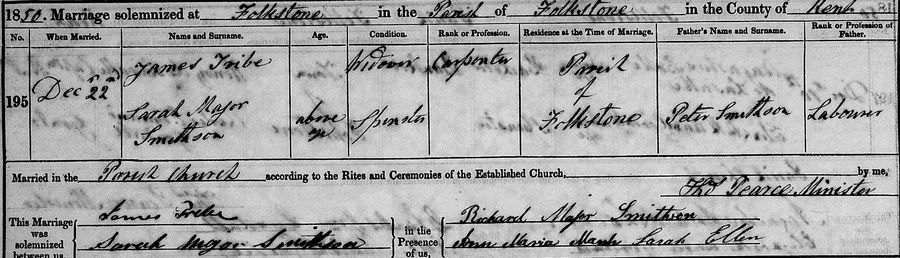 TRIBE/HAMPSHIRE Family